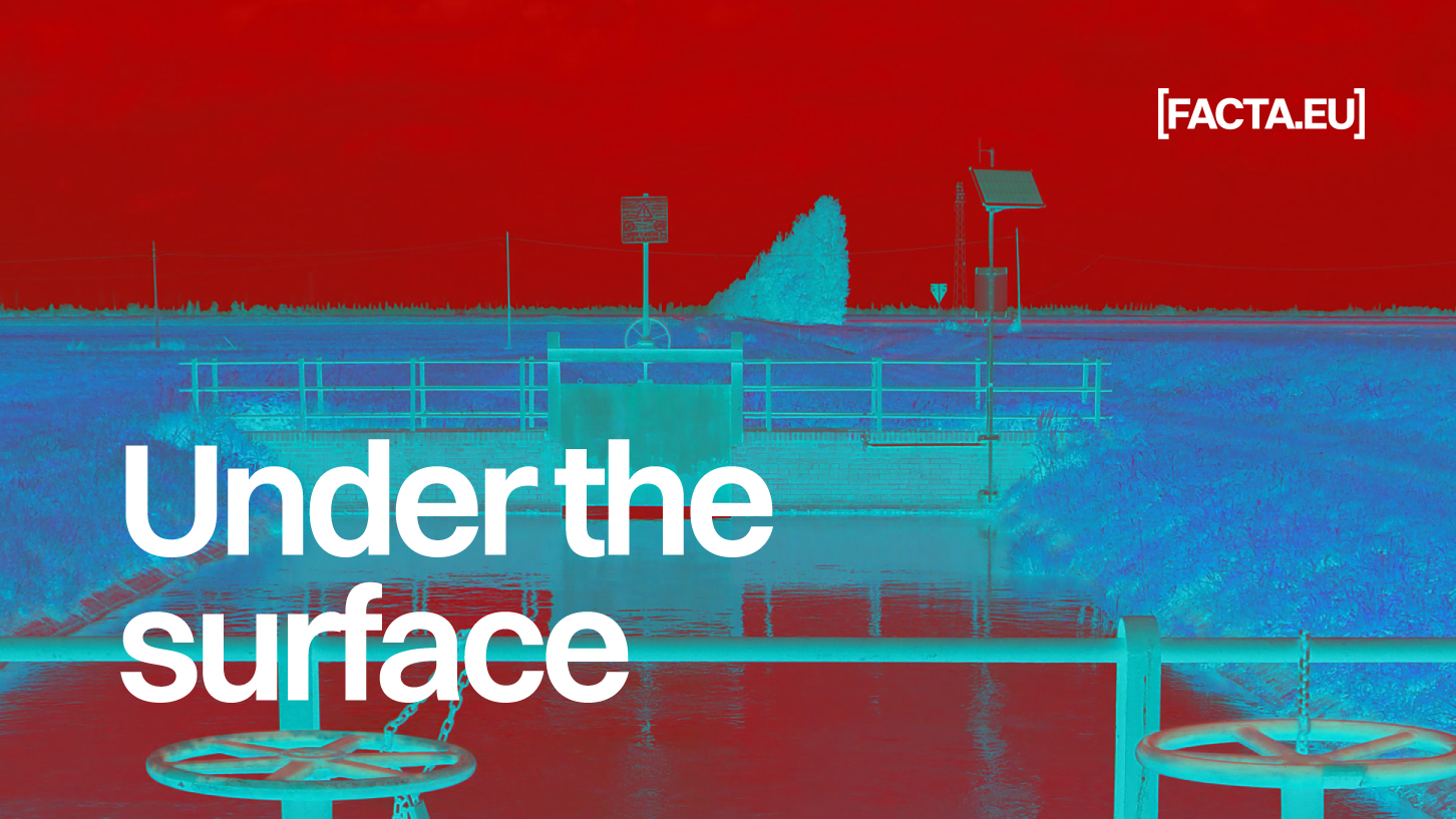 FACTA.EU - Under the Surface